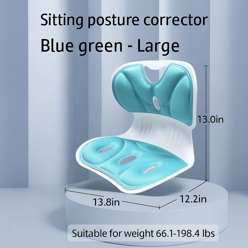 Saludea Ergonomic Back Support