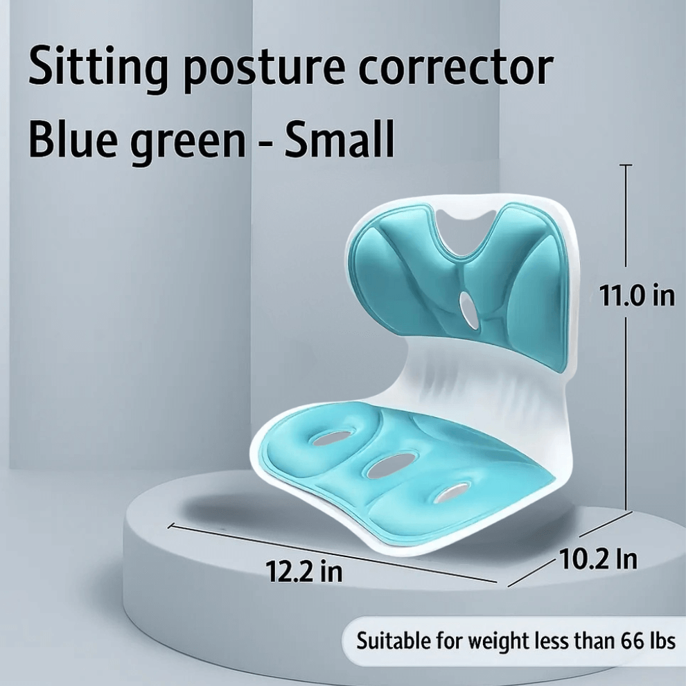 Saludea Ergonomic Back Support
