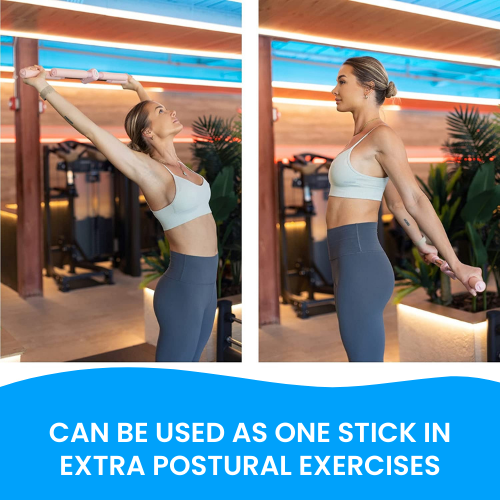 SALUDEA Posture Pole